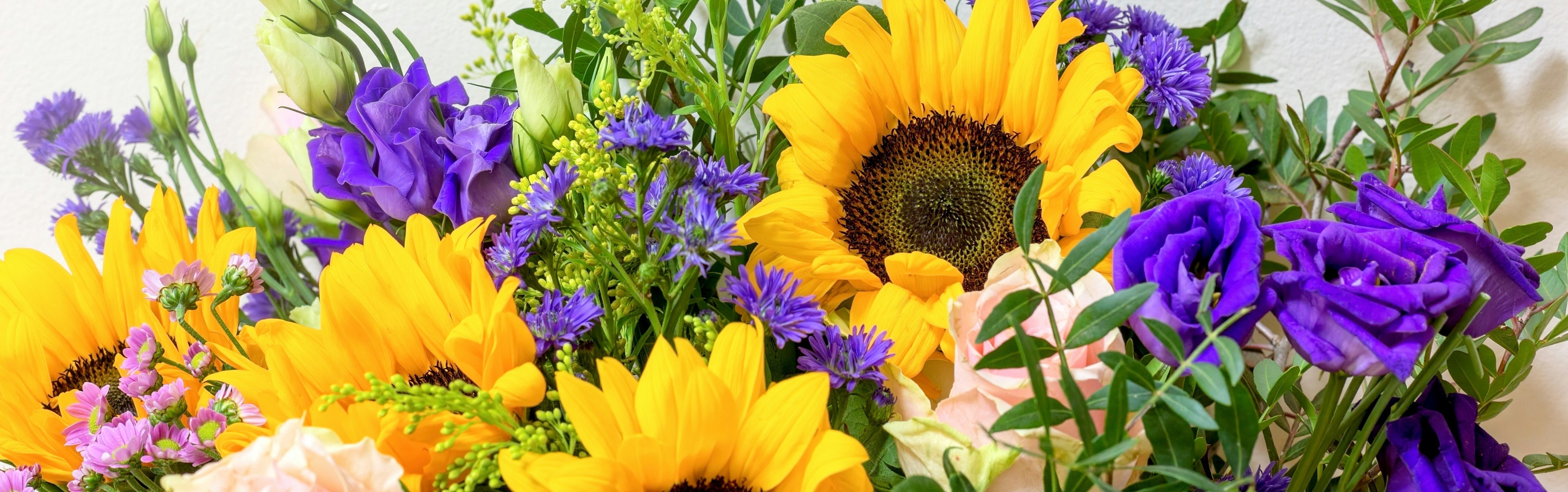 Pair Roses with Sunflowers This Summer | Aquarossa Farms