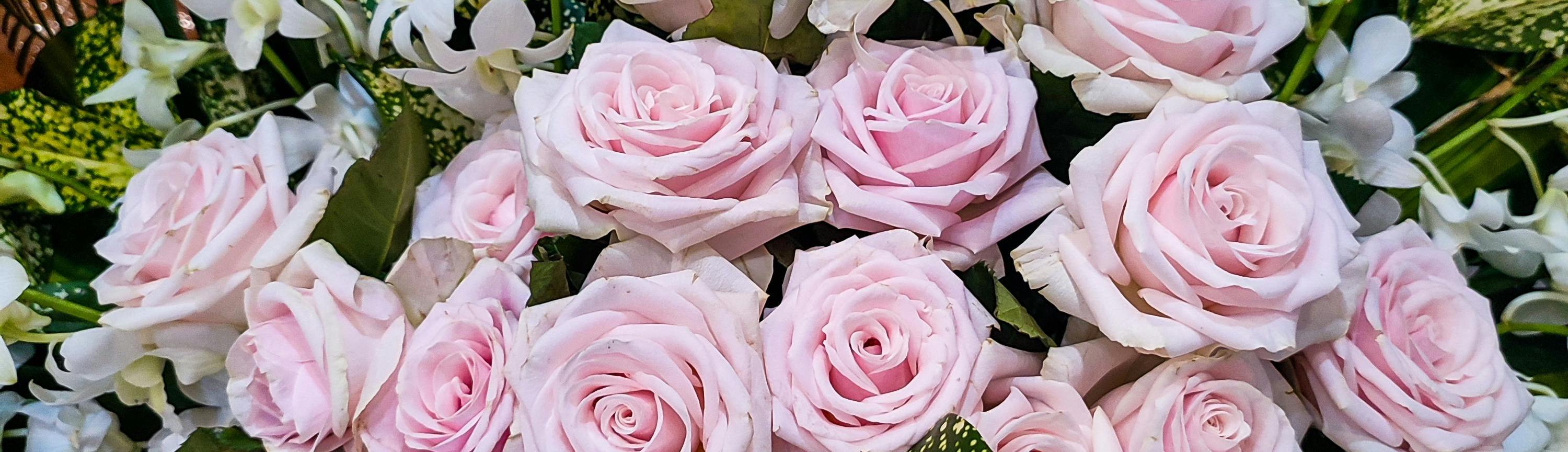 How to Create Stunning Flower Displays for Your Home – Aquarossa Farms