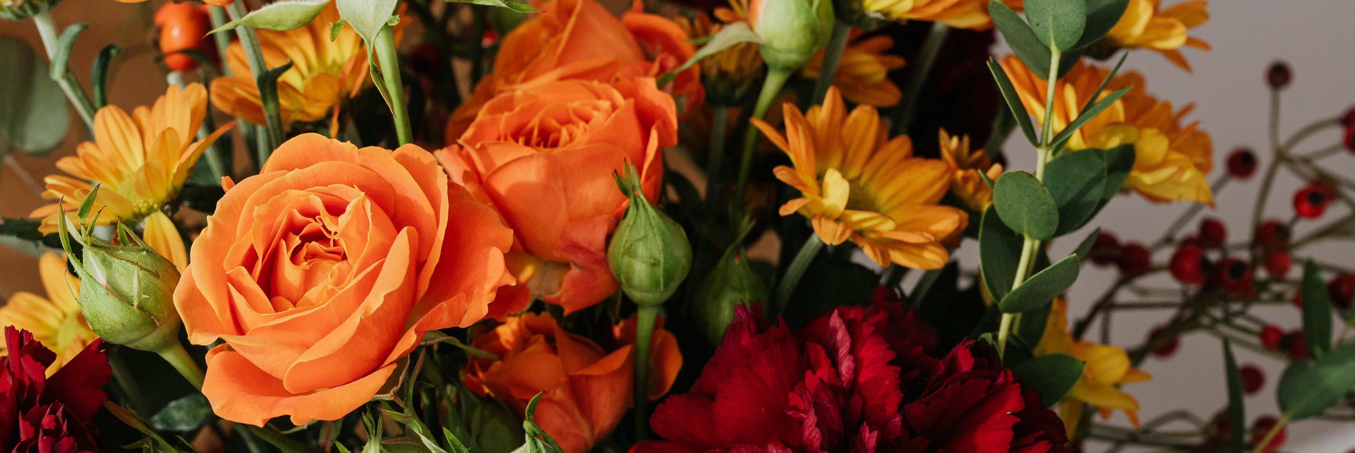 What Autumn Flowers Say About You | Aquarossa Farms