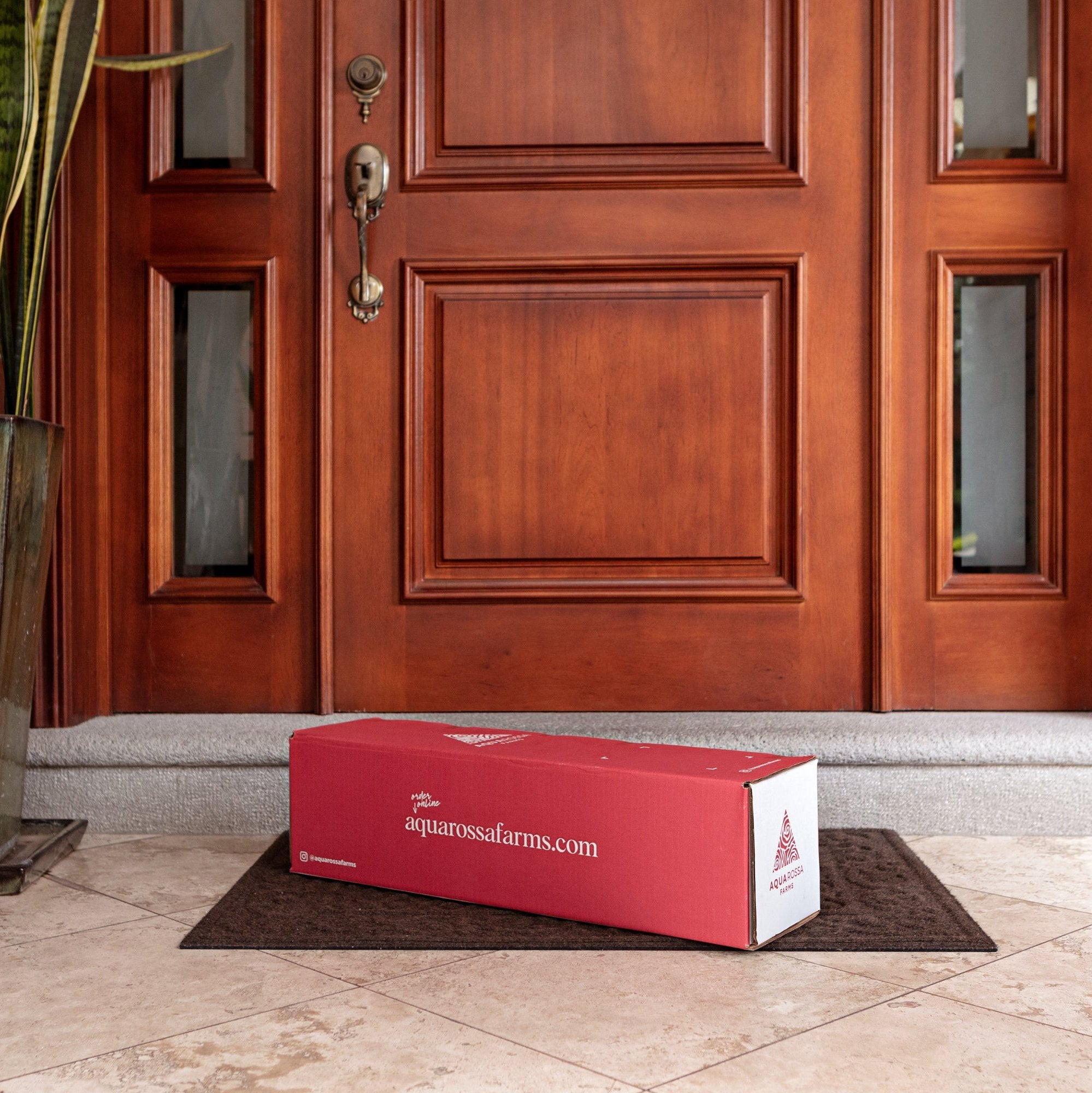 Bouquet of assorted roses – Aquarossa Farms