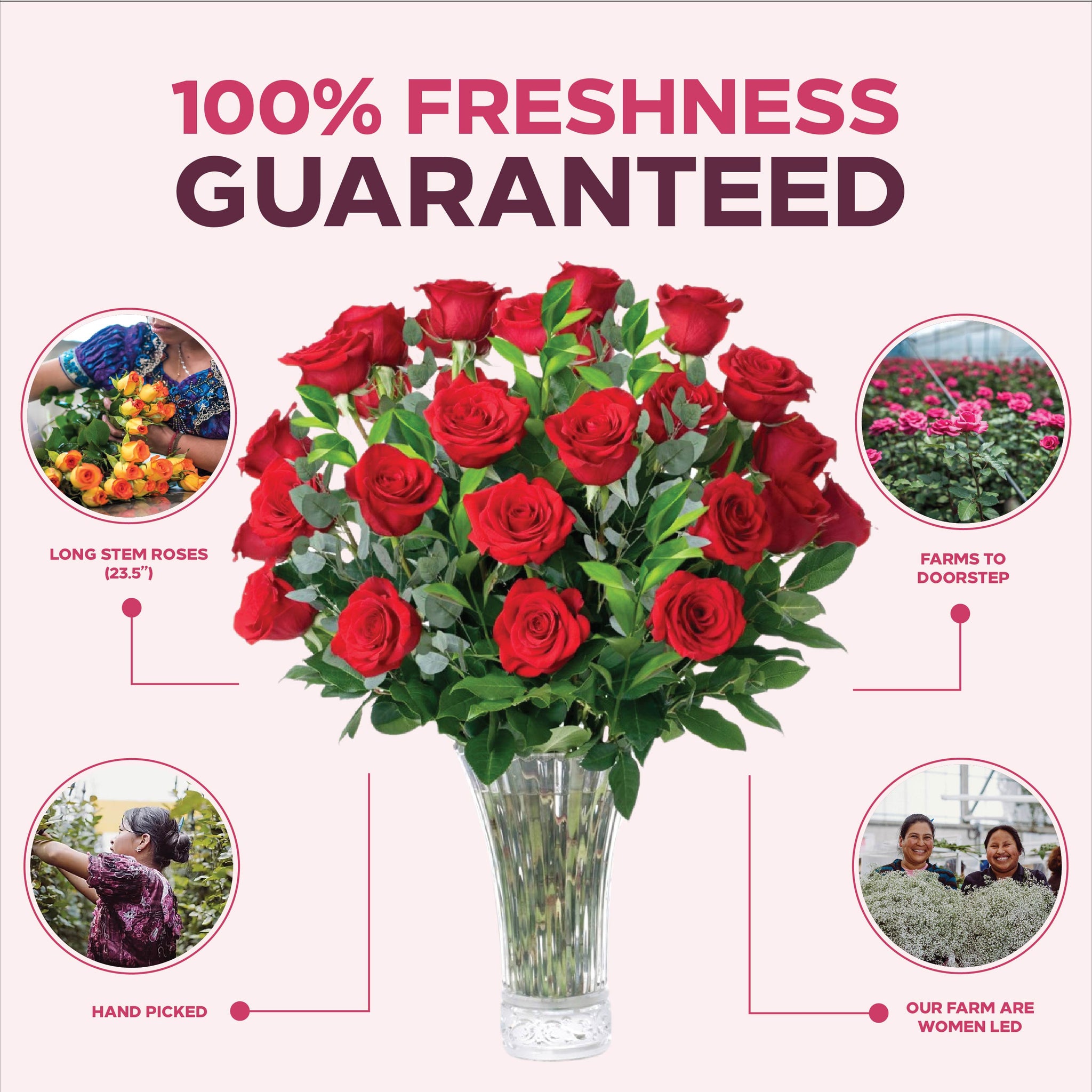 Bouquet of red roses – Aquarossa Farms