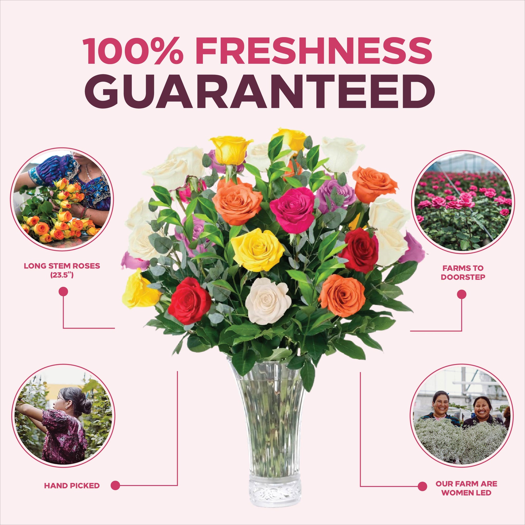 Bouquet of assorted roses – Aquarossa Farms